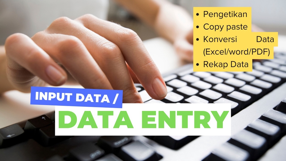 INPUT DATA / DATA ENTRY