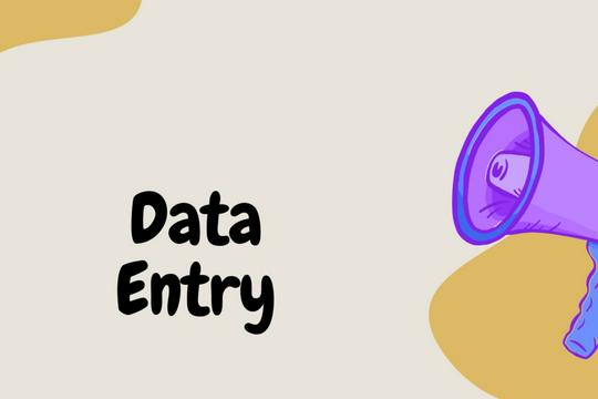 Menerima jasa data entry