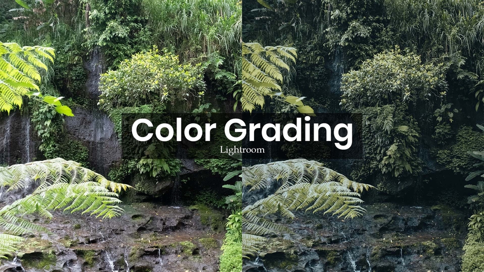 Color Grading Foto
