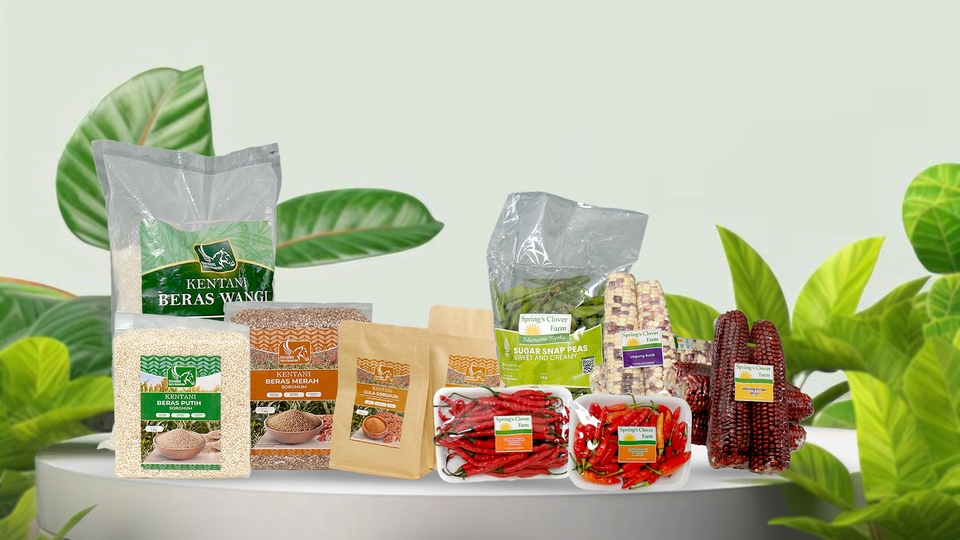 Desain Lebel Kemasan I Premium 1 Hari Jadi