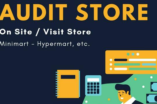 Audit Store