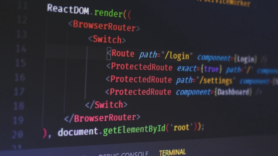 Programmer / Full stack developer
