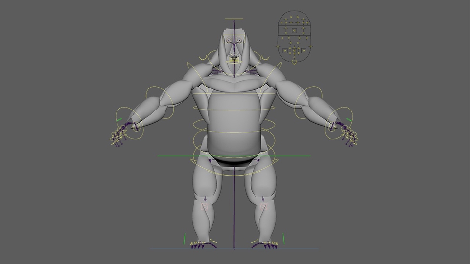3D Rigging