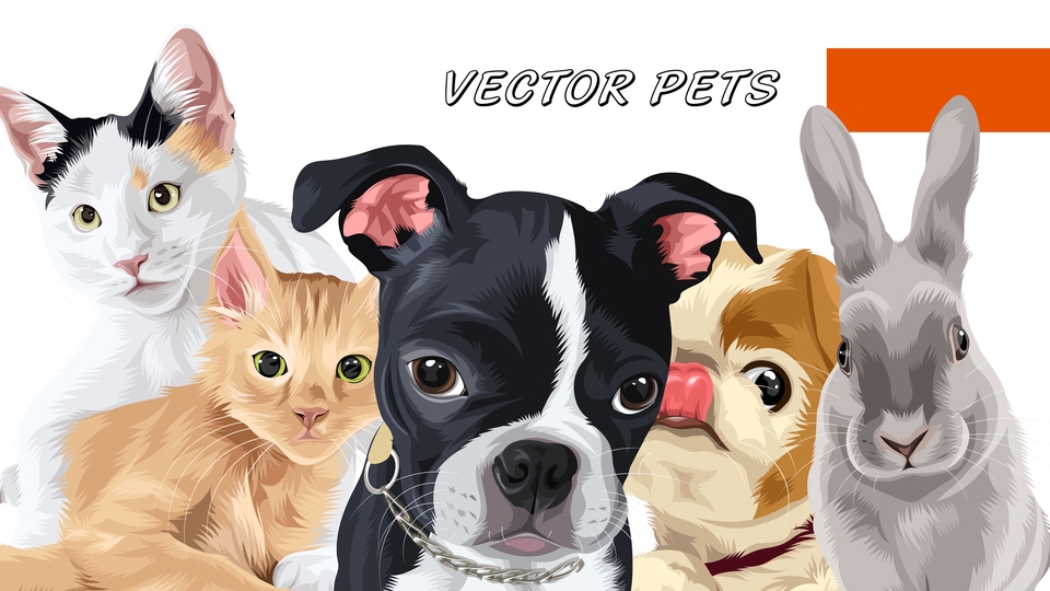 Vector Portrait pets