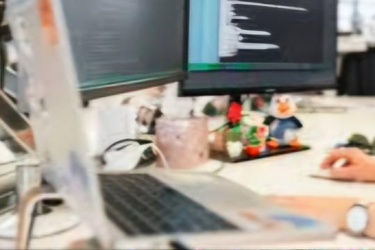 Web developer