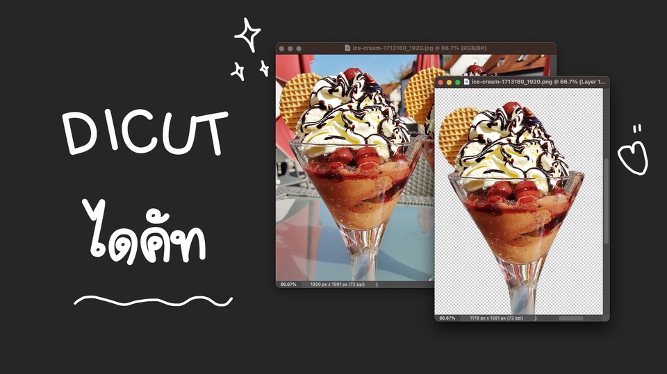 รับไดคัทรูป (Dicut)