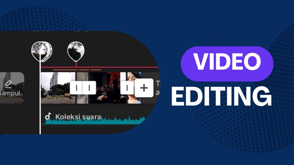 Professional Video Editor For You