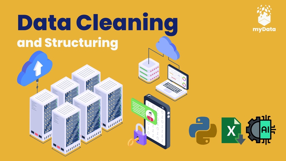 Data Cleaning and Structuring