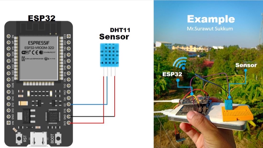 Project IoT, Monitor and machine vision developer