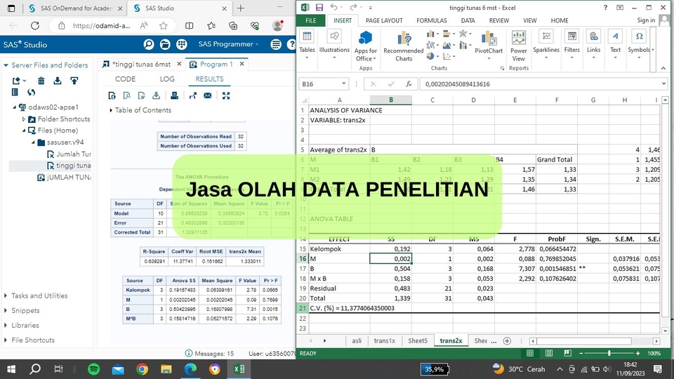 Olah data Penelitian dengan SPSS/DSAASTAT/SAS