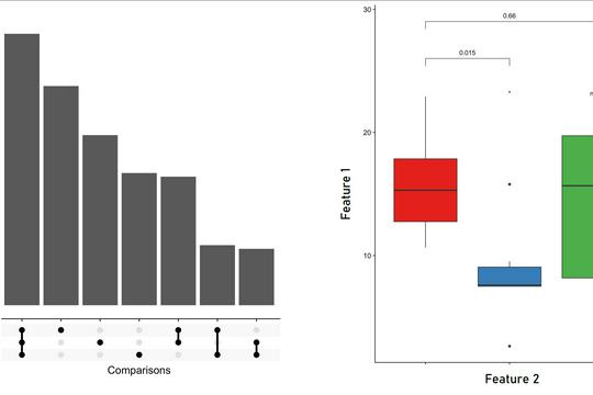 Statistical Analysis, Data Analysis, Data Visualization, and ...