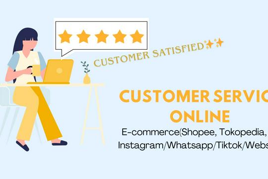 Admin/Customer Service Online
