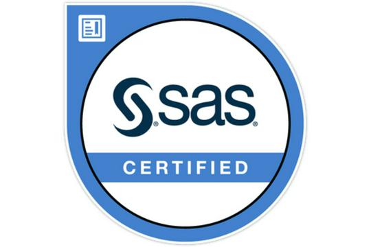 SAS Consultant