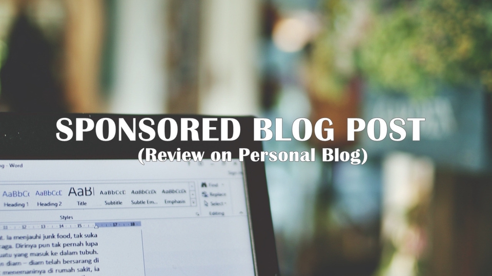 Sponsored Blog Placement - Travel Blogger Review