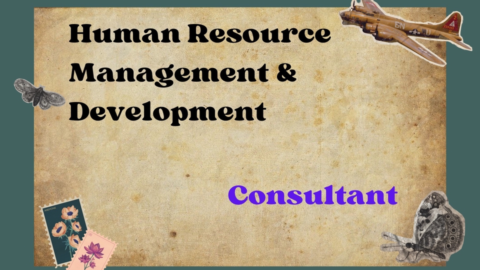 HRM Development Consultant
