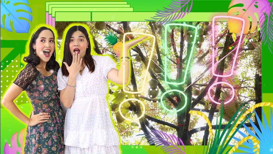 รับจ้างตัดต่อวิดีโอทุกประเภททุกสไตล์ งานดีงานเร็วมีคุณภาพต้อง ZENSEI