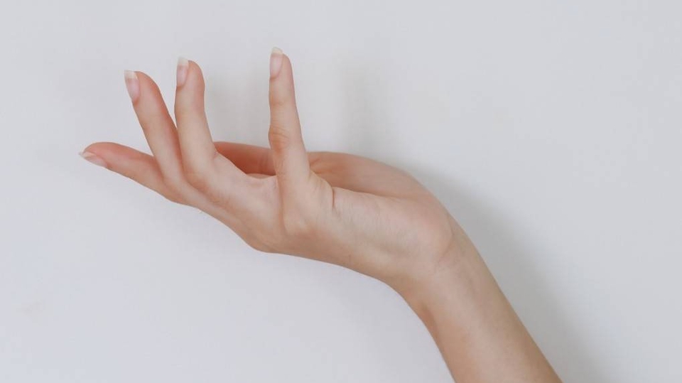 นางแบบมือ (hand model)