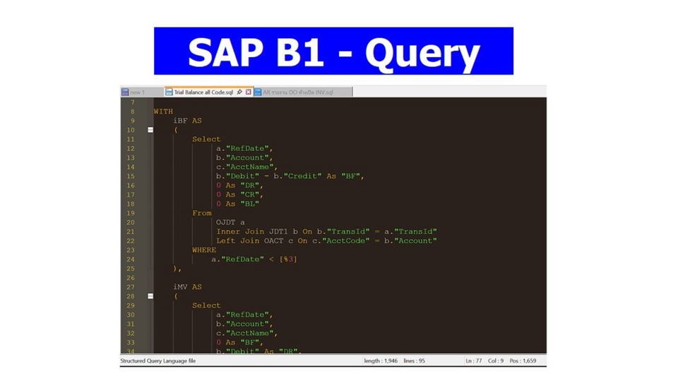 รับเขียน SAP Query
