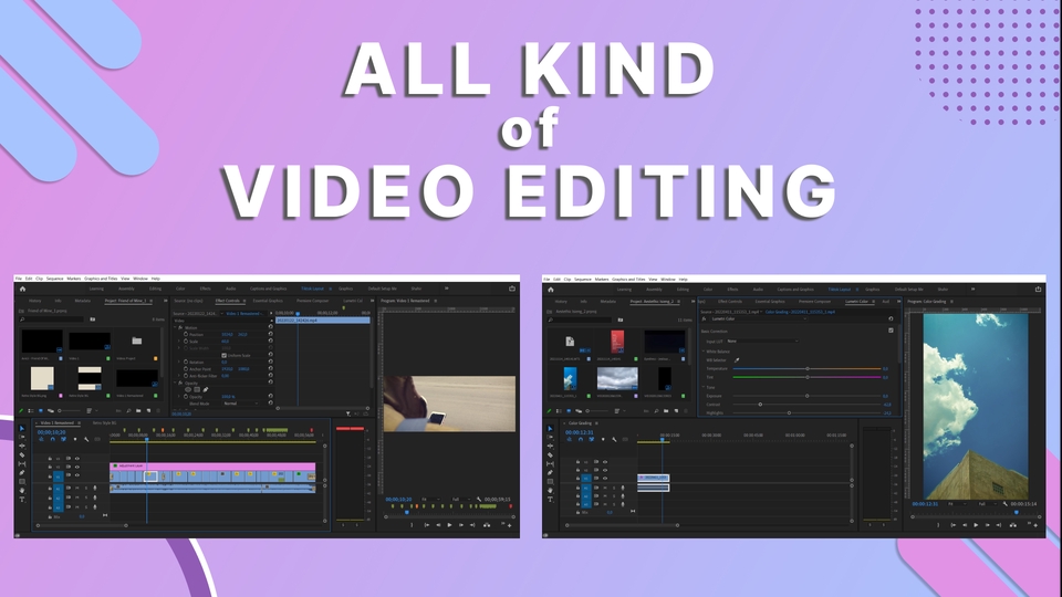 EDITING VIDEO PROFESSIONAL