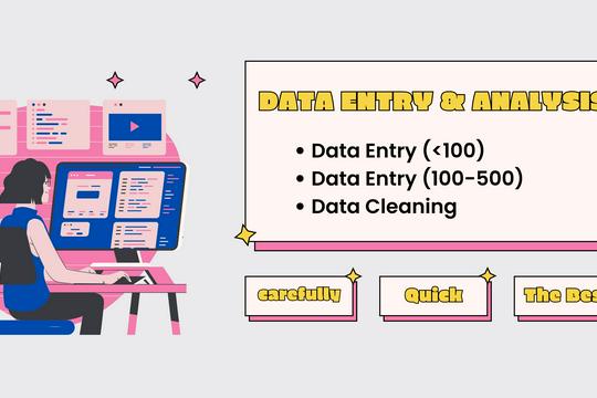 Data Entry | Excel | Spreadsheet | Statiska