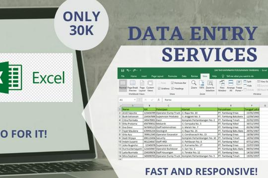 Input data ke Excel