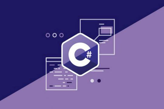 พัฒนา Web Application งานแก้ไขบางส่วน c# .Net Core ASP.Net