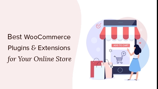 Jasa Custom Plugin Wordpress & Woocommerce Profesional