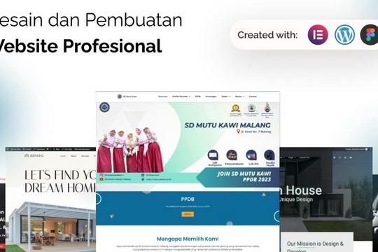 Website Wordpress Profesional