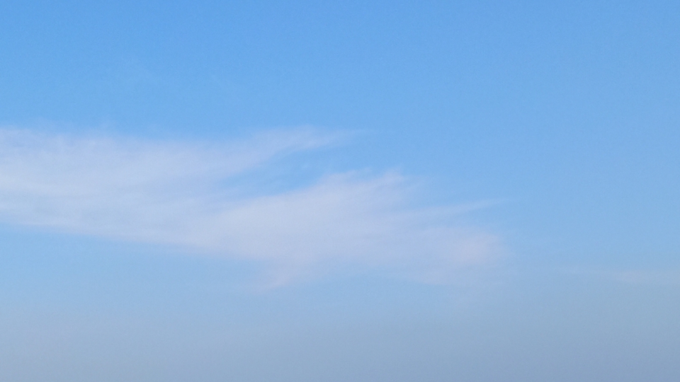 Customer Service & Admin