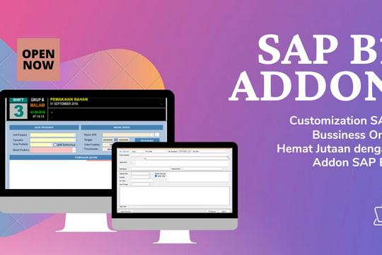 Jasa Pembuatan Add on SAP Business One, Addon SAP Business One, Addon ...
