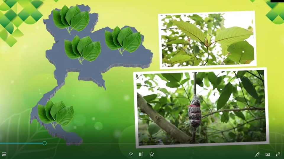 จัดทำ VTR โดยทางผู้จ้างมี วีดีโอให้ ใส่เอฟเฟค เสียง