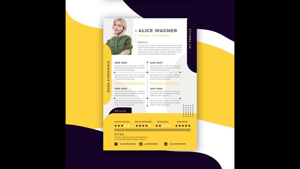 DESAIN CV PROFESSIONAL - 24 JAM JADI