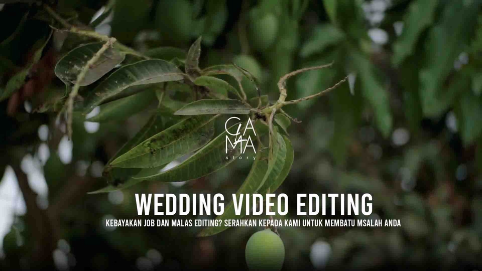 Wedding video editing (Teaser, Highlights)