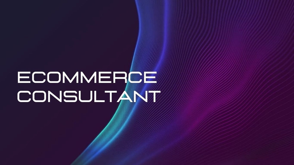Ecommerce Consultant