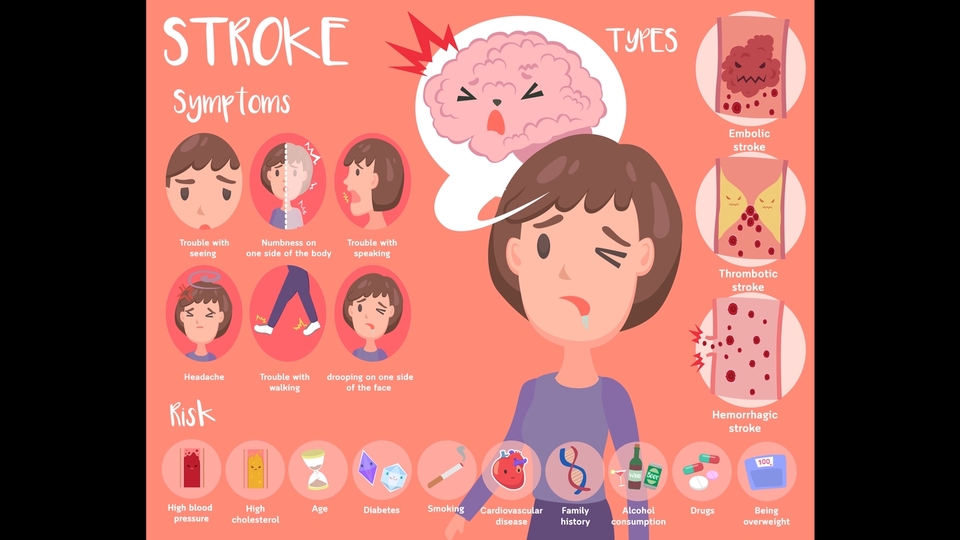 CUTE INFOGRAPHIC / ILLUSTRATION