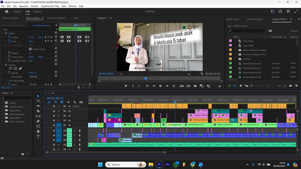 Profesional Video Editing