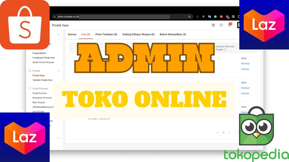 ADMIN TOKO ONLINE -SAYA MEMBUKA JASA UNTUK UPDATE PRODUK, HARGA PRODUK, FOTO PRODUK UNTUK E-COMMERCE