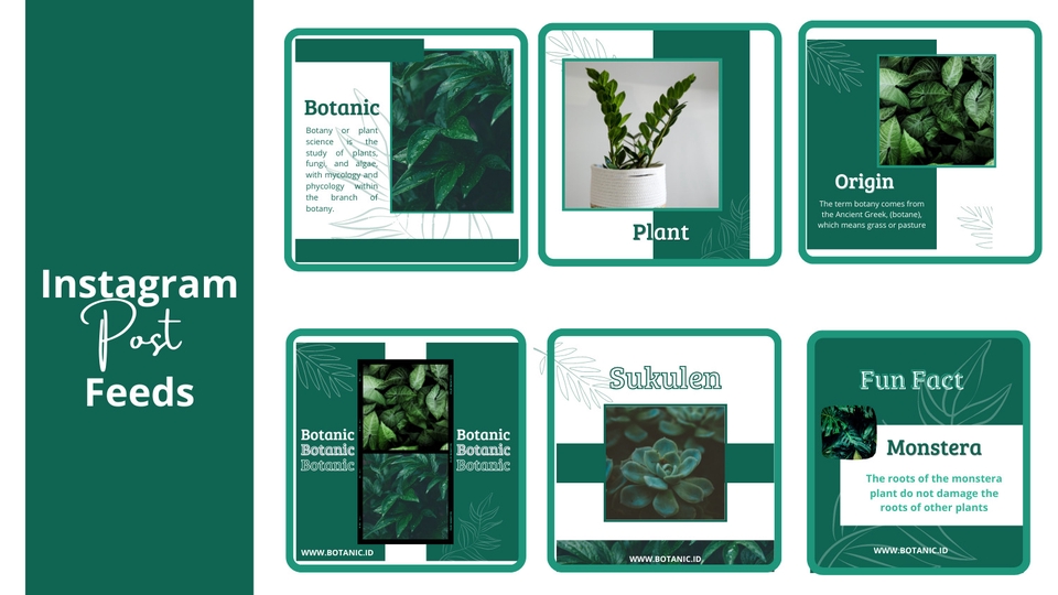 Instagram Post Feed Design