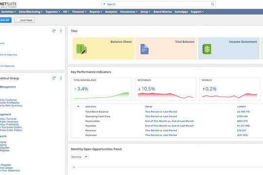 Oracle NetSuite Business Analyst