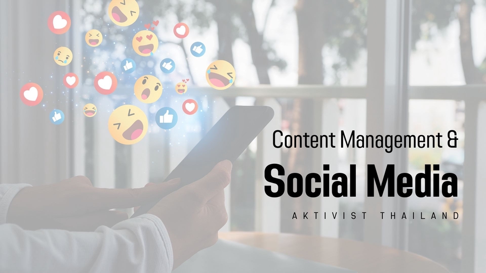 Social Media & Content Management