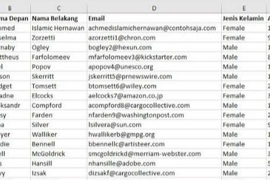 Input data angka dan non angka