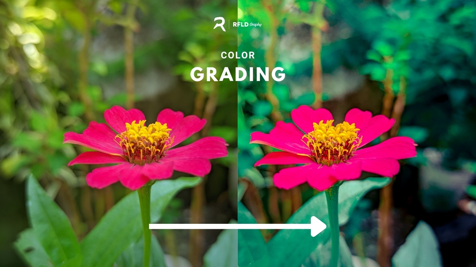 Color Grading Foto 1 Hari Jadi