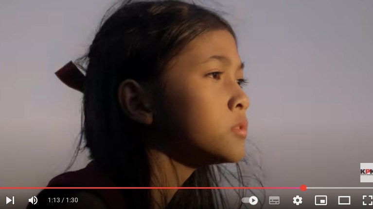 Voice over, Dubbing, Narator untuk video iklan atau karya audio Visual