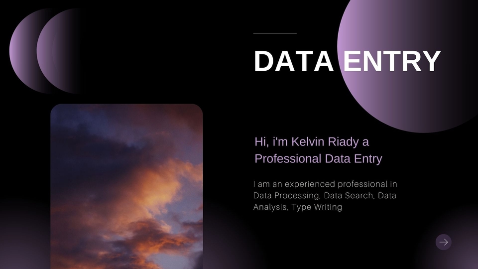 Professional Data Entry