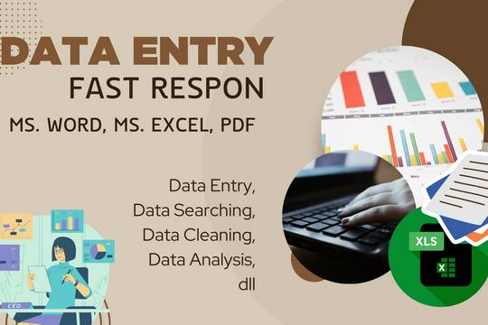 Data Entry Fast Respon
