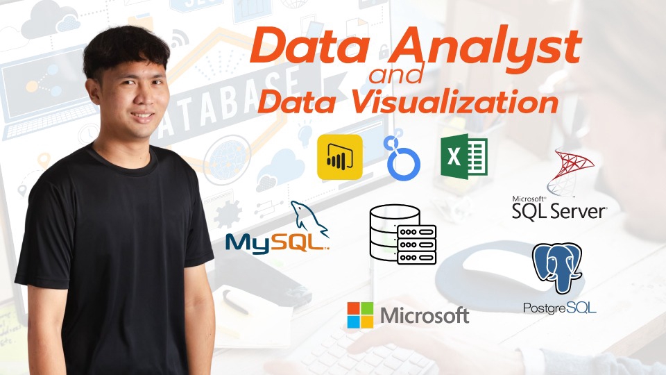วิเคราะห์ข้อมูล เขียน Report / SQL Query / Data Visualization สรุปผลในรูปแบบกราฟ ตาราง