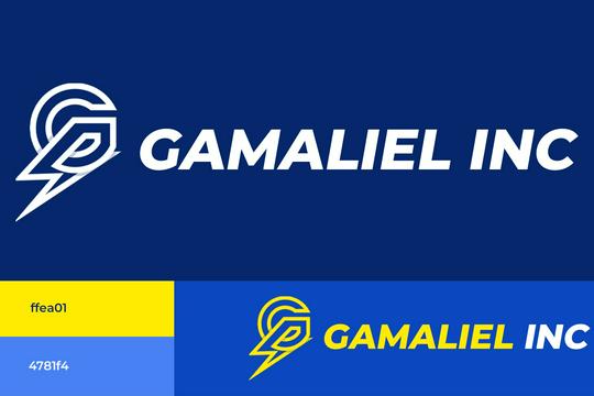 Logo Creation (Gaming, Architectural, etc)