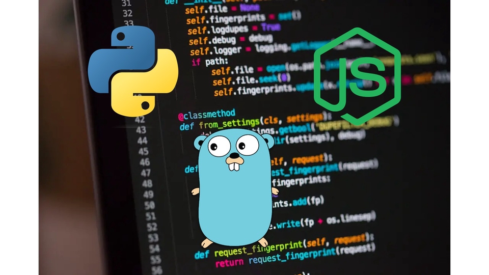 Custom Scripts Python Nodejs Golang 4296