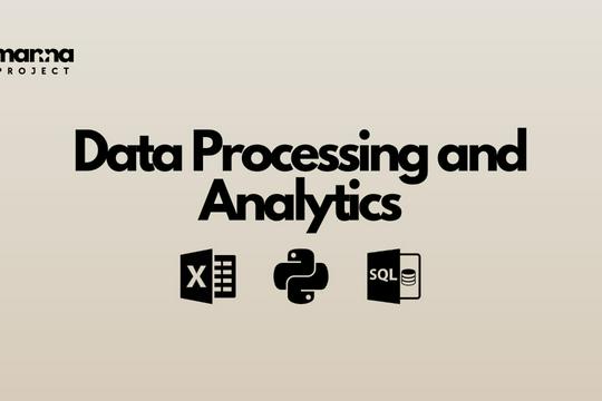 Data Processing & Analytics