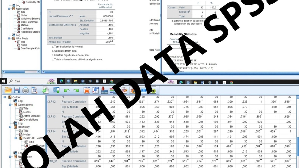 Usaha Olah Data SPSS